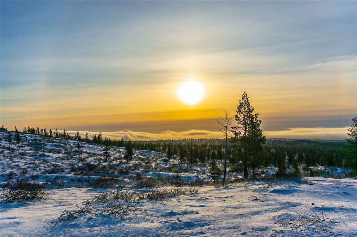 Rundreisen.de - Finnland - Urho Kekkonen Nationalpark