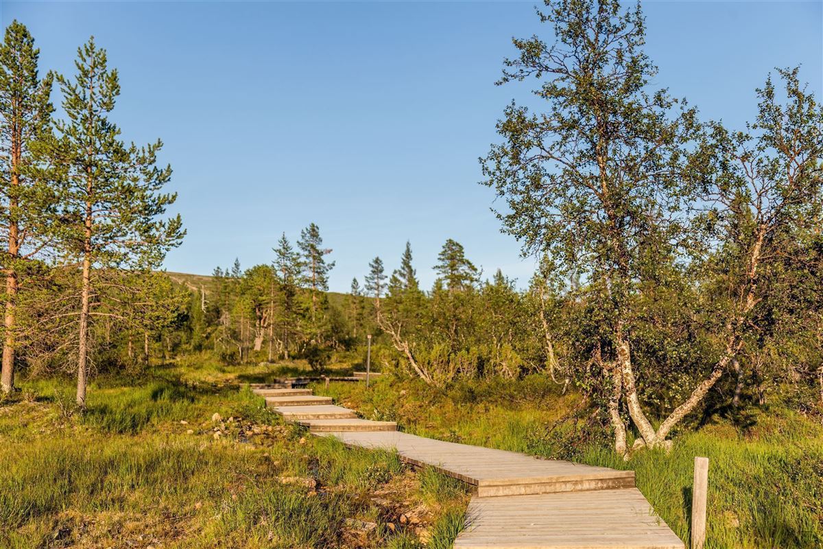 Rundreisen.de - Finnland - Urho Kekkonen Nationalpark