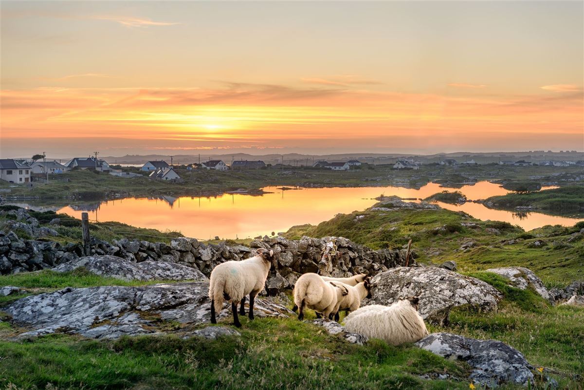 Rundreisen.de - Irland - Connemara-Nationalpark
