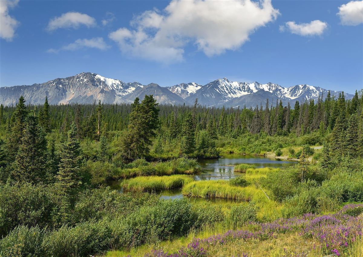 Rundreisen.de - Kanada - Kluane Nationalpark