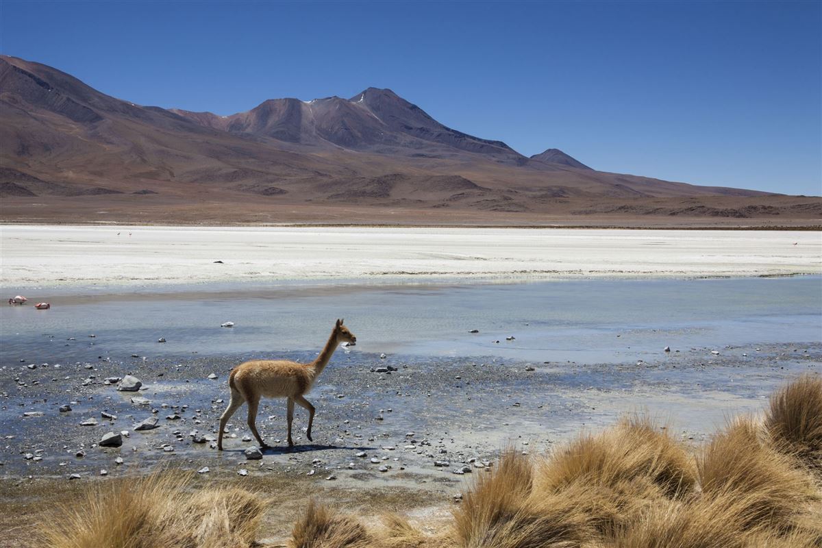 Rundreisen.de - Bolivien - Hochebene in Westbolivien Rundreise