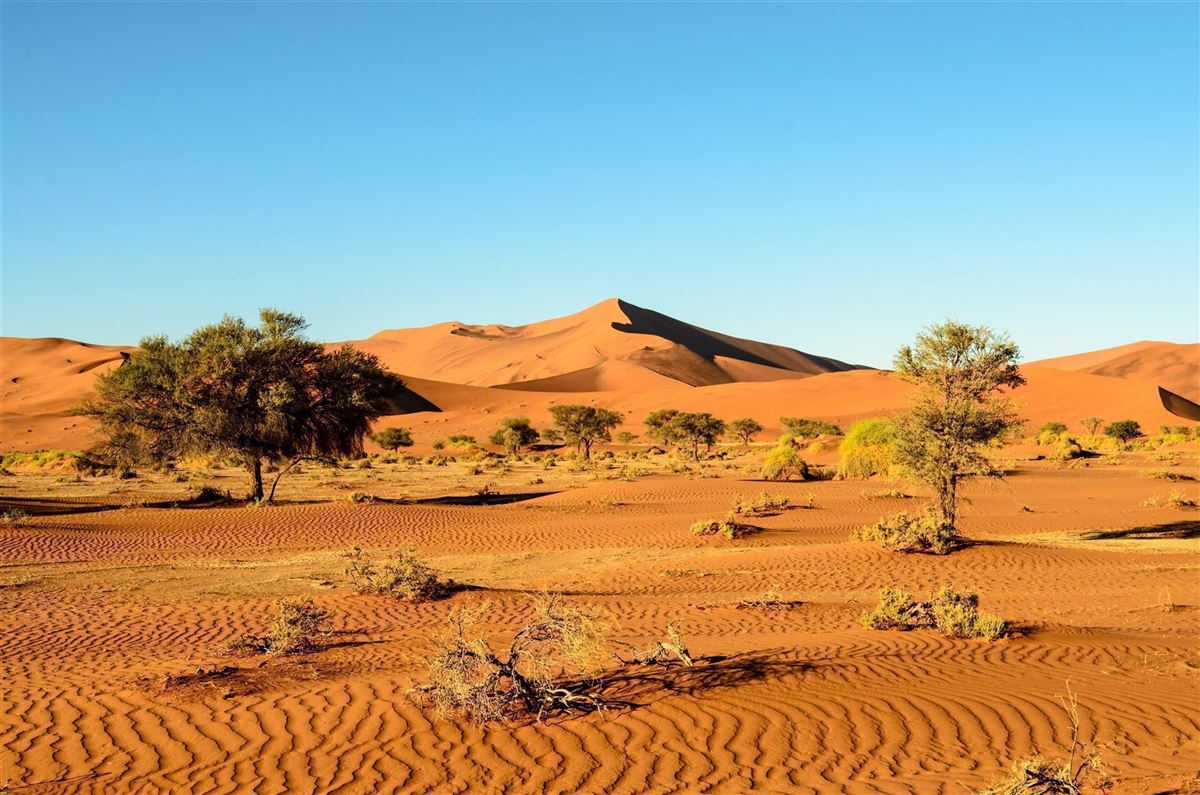 Rundreisen.de - Namibia - Namib Wüste