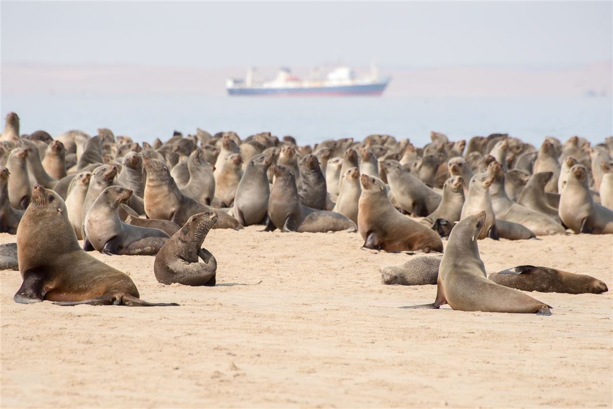 Rundreisen.de - Namibia - Walvis Bay