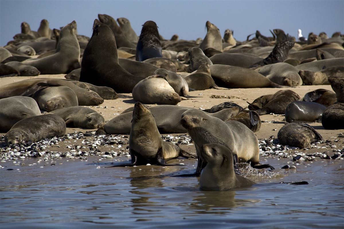 Rundreisen.de - Namibia - Walvis Bay