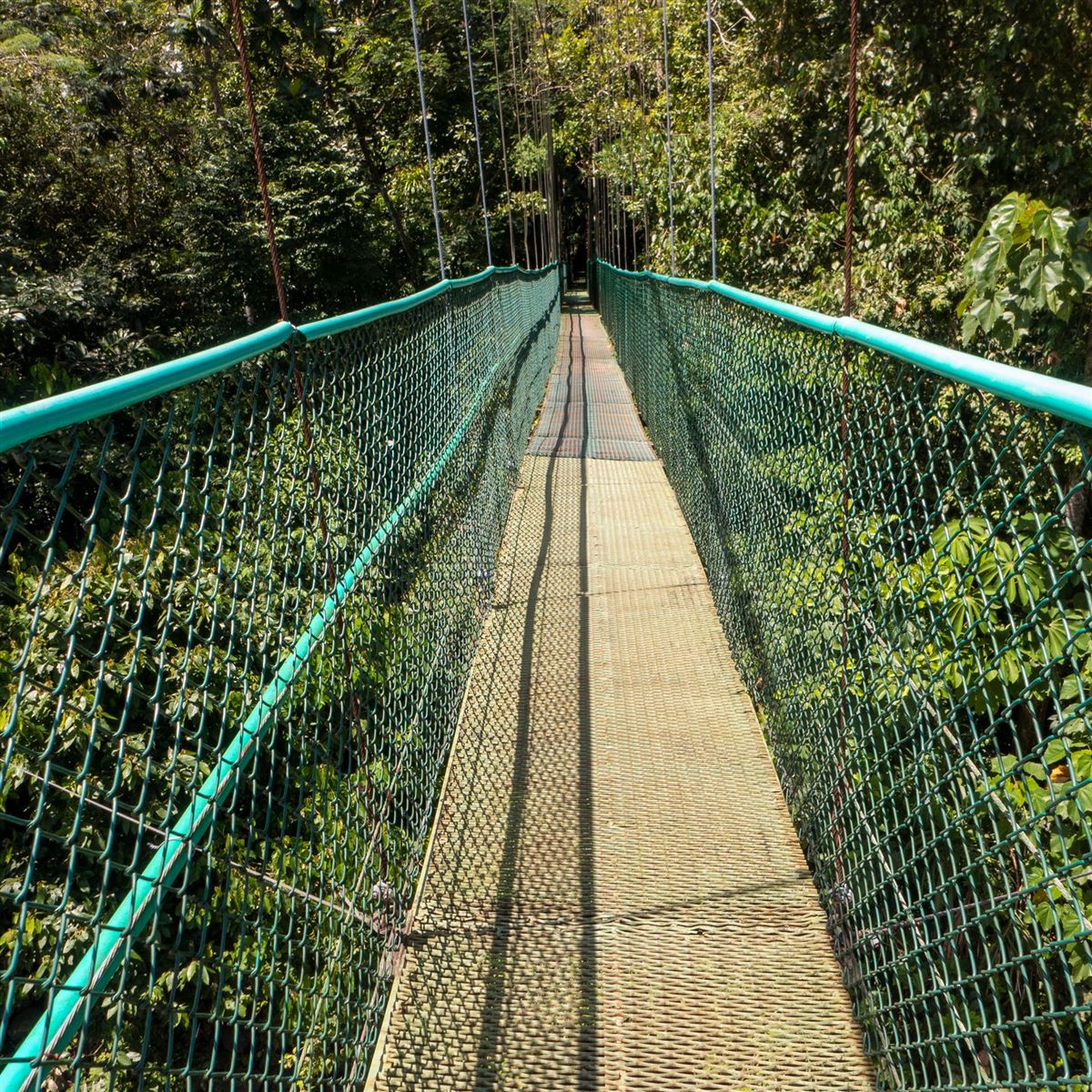 Rundreisen.de - Costa Rica - Tirimbina Reservat