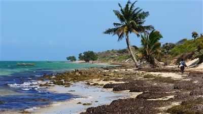 Rundreisen.de - Madagaskar - Ifaty