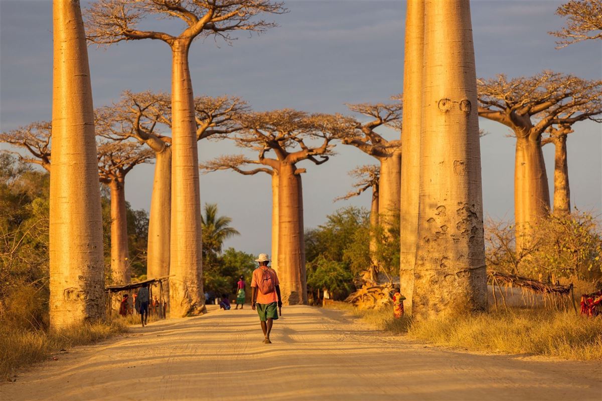 Rundreisen.de - Madagaskar - Aktiv unterwegs im Land der Baobabs