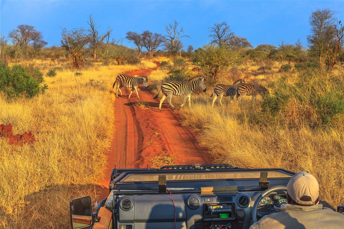 Rundreisen.de - Südafrika - Krüger Nationalpark