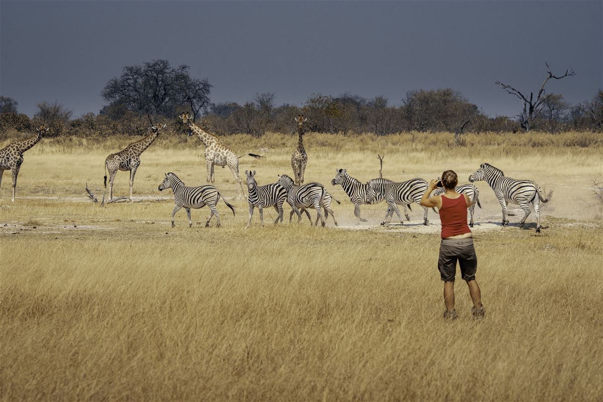 Rundreisen.de - Botswana - Moremi Nationalpark