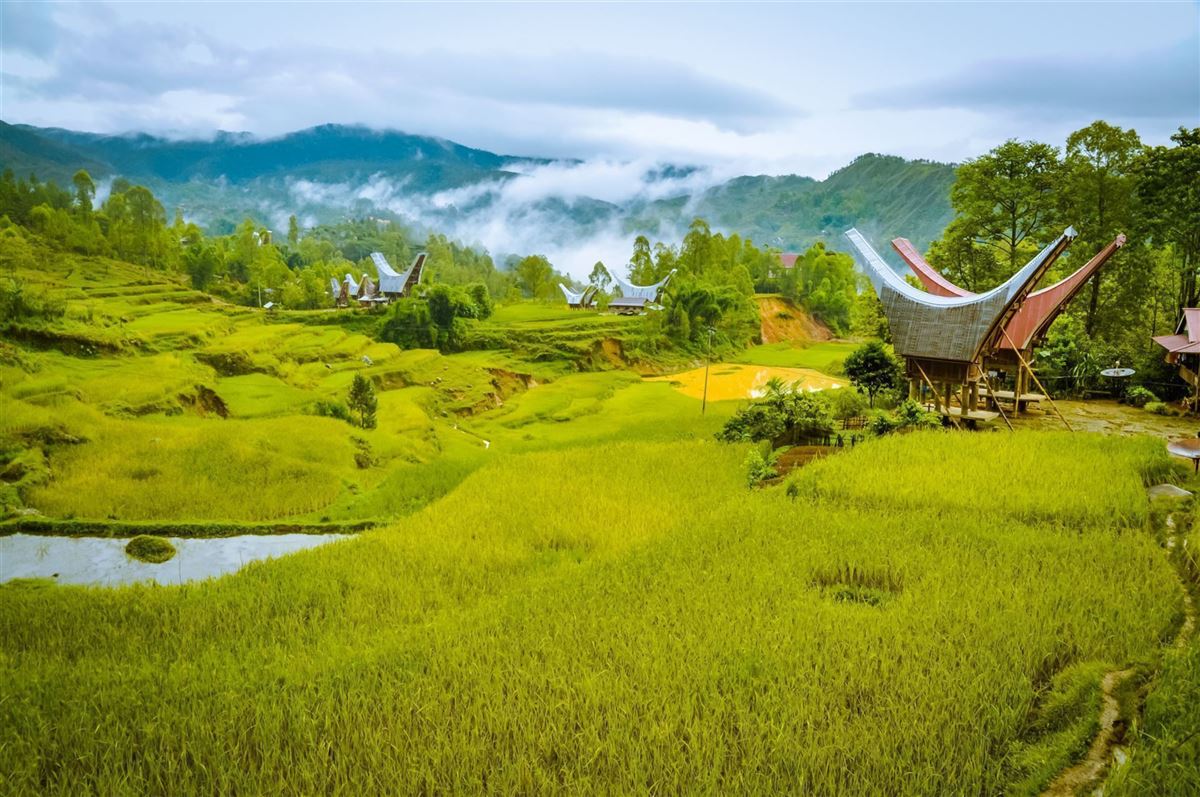 Rundreisen.de - Indonesien - Insel Sulawesi Rundreise