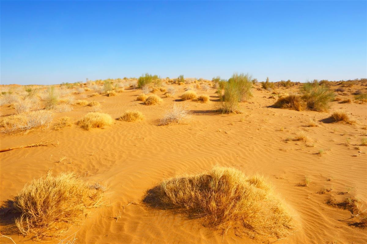 Rundreisen.de - Usbekistan - Kizilkum Wüste