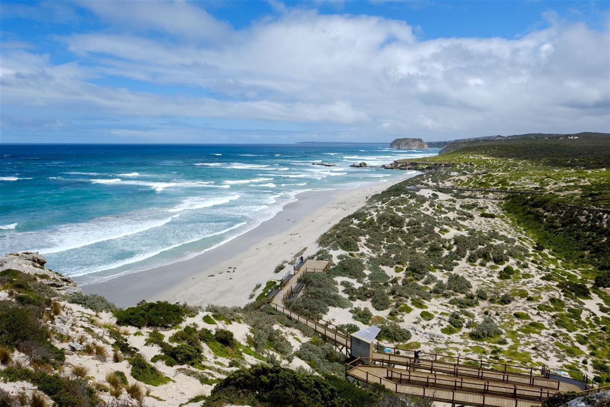 Rundreisen.de - Australien - Seal Bay