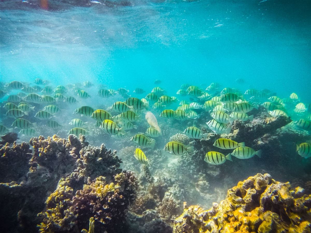 Rundreisen.de - Australien - Ningaloo Reef