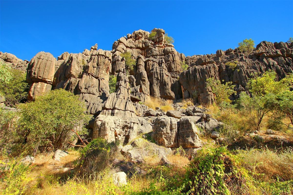 Rundreisen.de - Australien - Fitzroy Crossing