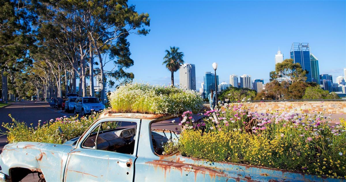 Rundreisen.de - Australien - Kings Park