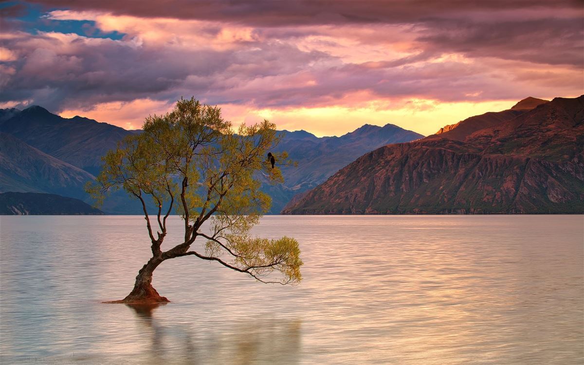 Rundreisen.de - Neuseeland - Wanaka See