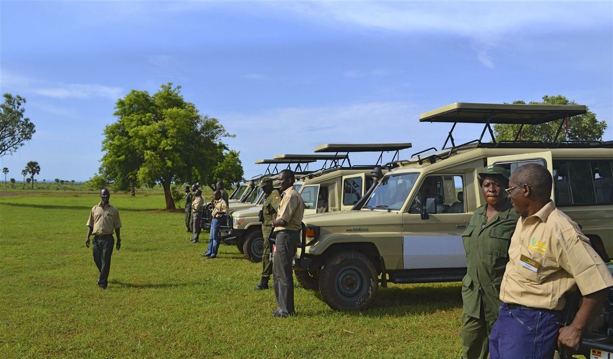 Rundreisen.de - Uganda - Berggorillas und Schimpansen